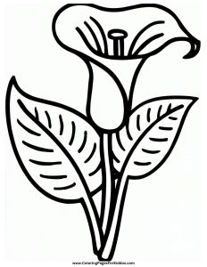 Flowers Coloring Pages: 10 Free Printable PDFs