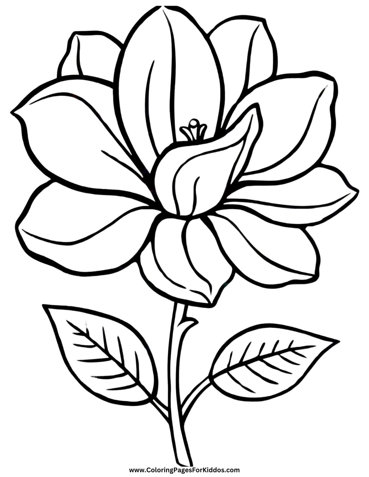 Flowers Coloring Pages: 10 Free Printable PDFs
