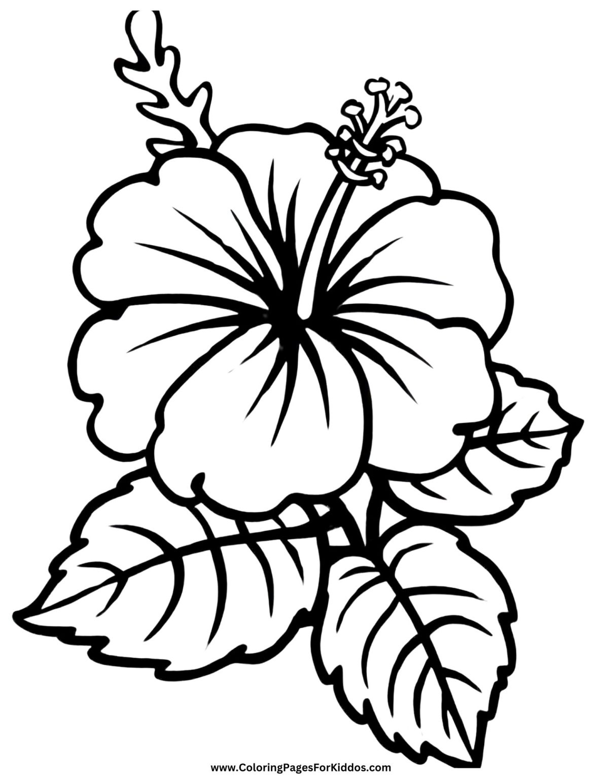 Flowers Coloring Pages: 10 Free Printable PDFs