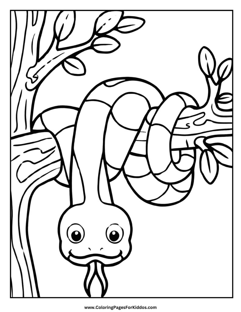 Snake Coloring Pages: 10 Free Printable PDFs