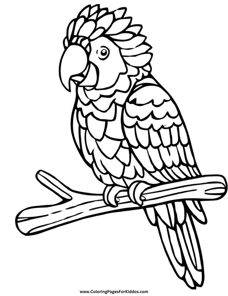 Bird Coloring Pages: 10 Free Printable PDFs