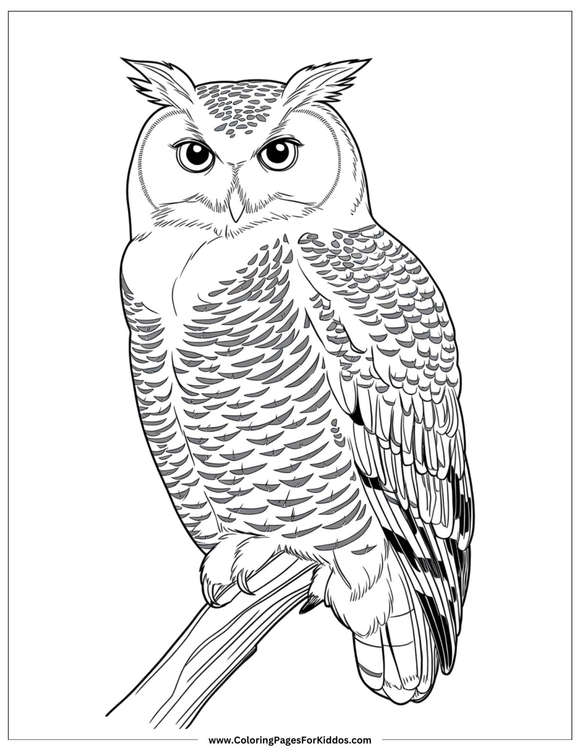 January Coloring Pages: 48 Free Printable PDFs